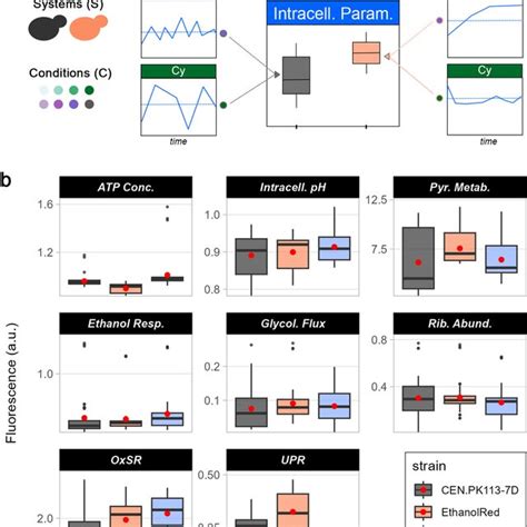 High Throughput Aerobic Screening Overview Strain Performance And Download Scientific Diagram