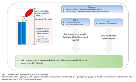 Retatrutide Part 1 Was A Triple Agonist For Glp 1 Gip And Glucagon