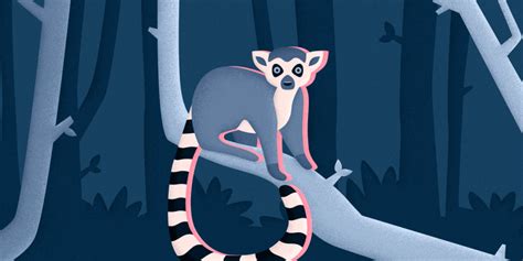 Learn More About Drupal The Latest News Articles And Projects By Adci Solutions Adci