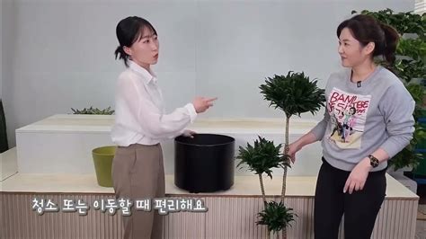 물구멍 없는 바퀴부착화분으로 편리하고 깔끔하게 루와사 Large 화분 자랑 좀 할게요😉 Youtube