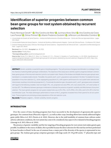 Pdf Identification Of Superior Progenies Between Common Bean Gene Groups For Root System