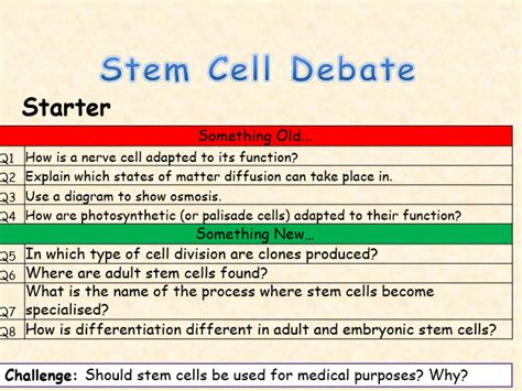 Aqa Biology Topic 2 Stem Cells Debate Teaching Resources