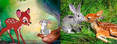 დისნეის მულტფილმების გმირები და მათი რეალური ტყუპისცალები სახალისო ფოტოები