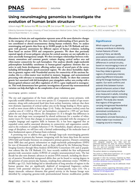 PDF Using Neuroimaging Genomics To Investigate The Evolution Of Human Brain Structure