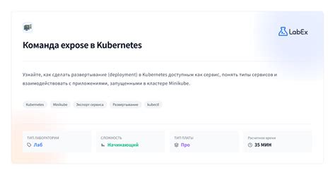 Команда Expose в Kubernetes Labex