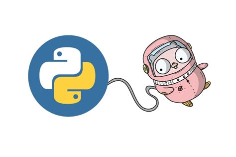 Do Python And Golang Application Rest Api Assignment By Trietm