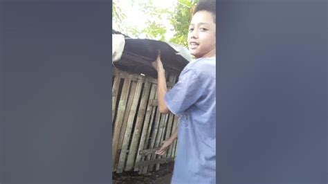 Bicol Sarap Magligo Ilog Youtube