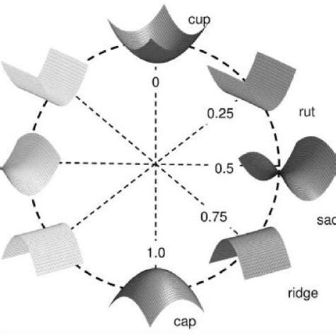 2 Illustration Of Distinct Shapes And Corresponding Shape Index Values Download Scientific