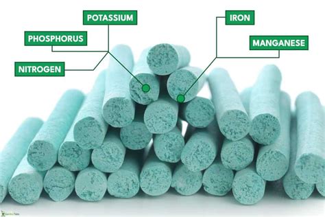 Can Fertilizer Spikes Kill Trees