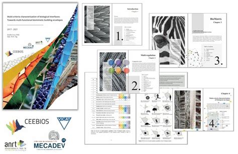 Phd Multi Criteria Characterization Of Biological Interfaces Towards Download Scientific