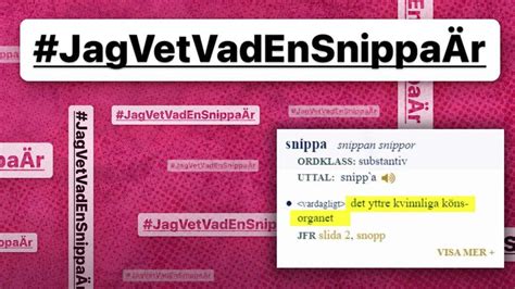 Så Hamnade Ordet Snippa I Hetluften