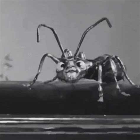 SexLab SE Sex Animation Framework V B Page Downloads SexLab