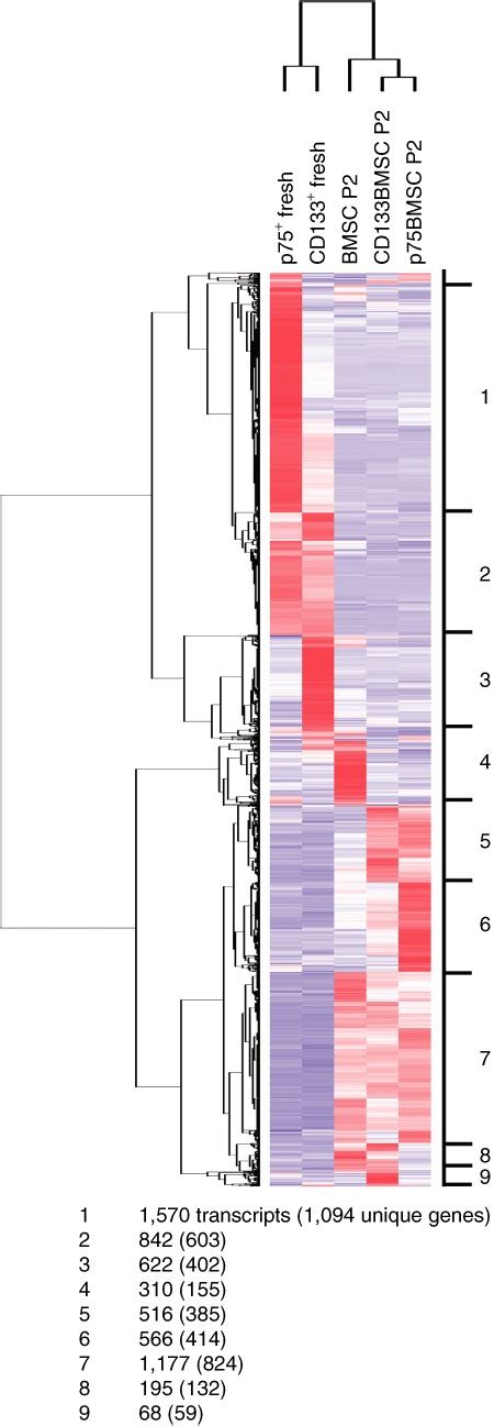 microarray assays of expressed genes top hierarchical clustering for