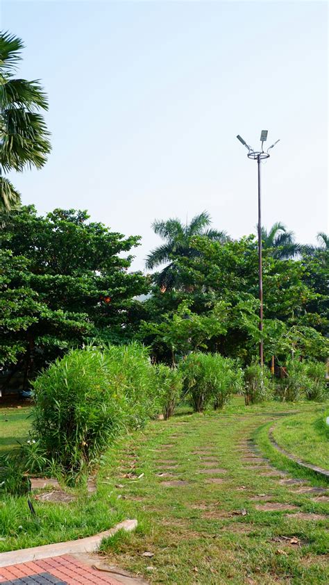 나무와 덤불이 있는 공원의 오솔길 사진 Unsplash의 무료 비사카파트남 이미지