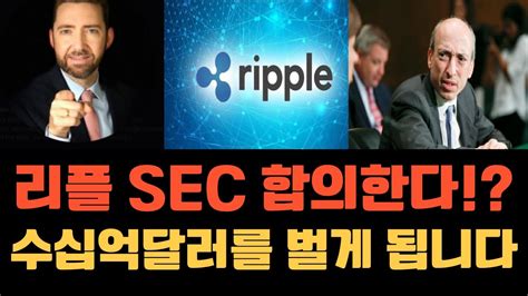 리플 코인 긴급 리플 Sec 합의한다 갈링하우스ceo는 수십억달러를 벌게 될겁니다 리플목표가 리플호재 리플전망 리플코인목표가 리플코인호재 리플코인전망