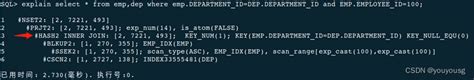 达梦sql执行计划、hint、索引简单应用sql Hint Csdn博客