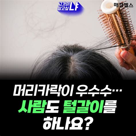 가을 되니 머리카락 우수수…사람도 털갈이를 하는 걸까 [그것이 알고싶냐]