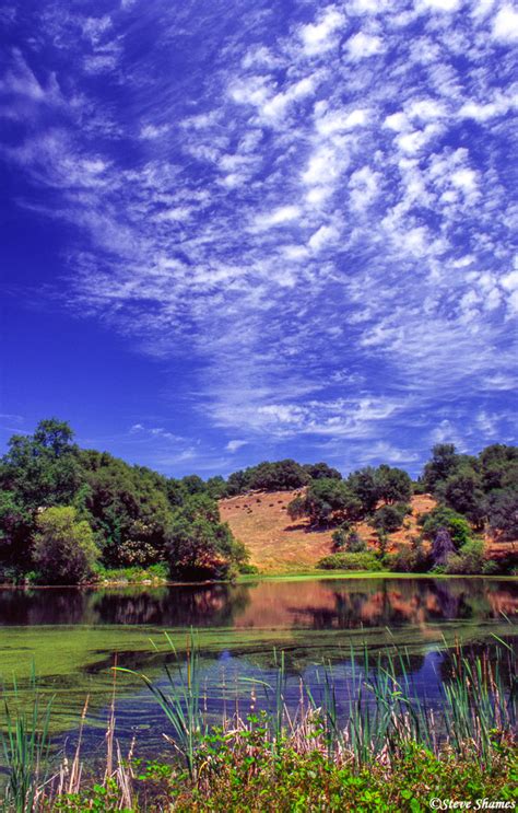 Napa Valley Pond Napa Valley Northern California Steve Shames