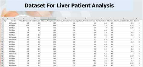 Liver Patient Analysis Machine Learning Project 1000 Projects