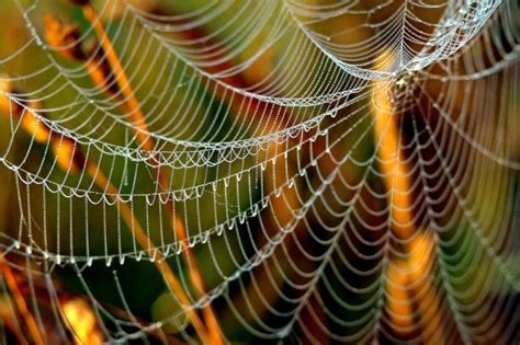 Continuous Integration And Delivery In Aws Automating Your Development