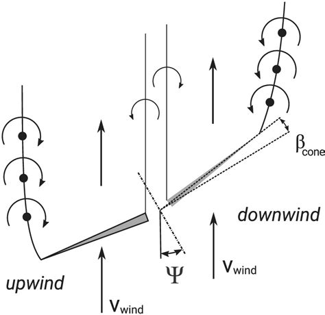 Sketch Of A Typical Wind Turbine Wake Under Yawed Conditions Adapted Download Scientific