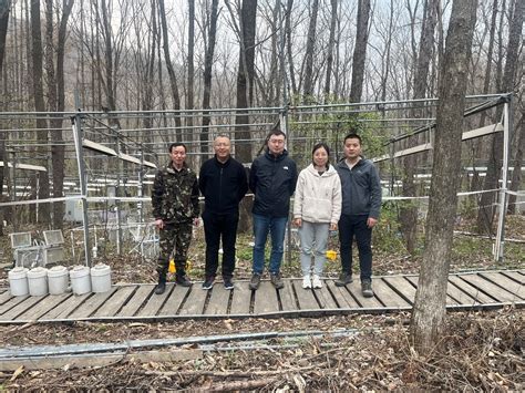 辽宁清原森林生态系统国家野外科学观测研究站