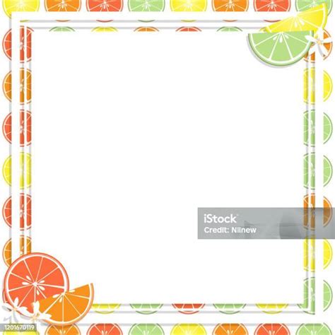 감귤류 과일 배경에 사각형 흰색 프레임과 직사각형 레이블의 벡터 그림입니다 열대 신선하고 육즙이 혼합 감귤류 과일은 밀접하게 평평한 디자인의 배경과 꽃을 간격 0명에 대한