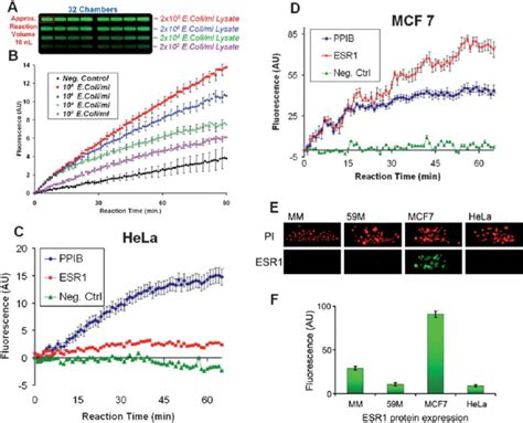 Gene And Protein Expression Analysis On The Imap Array A End Point
