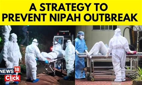 Nipah Virus Latest News No New Nipah Virus Infection Reported In Kerala Kerala Nipah Virus