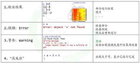 R R Rstudio