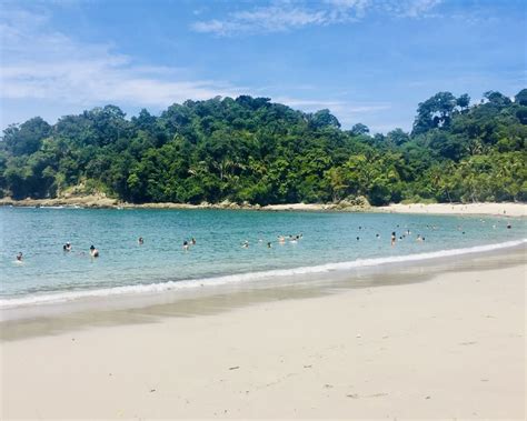 Jungle Serenity And Coastal Splendor In Manuel Antonio