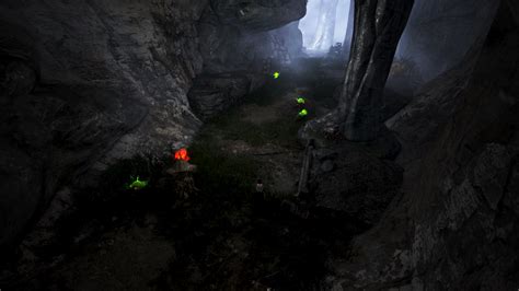 스크린샷 And 영상 나만의 긴잎나무숲 동굴 검은사막 한국