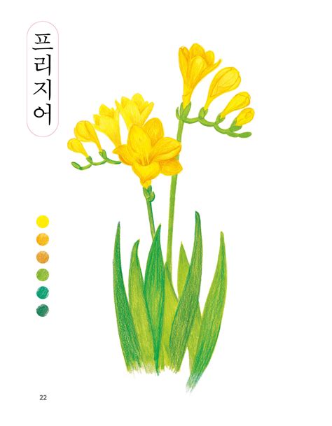 알라딘 미리보기 색연필로 그리는 꽃그림