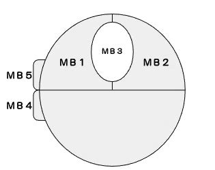 【特にサイドボタン】マウスの「mb1」とか「mb2」とかって何？｜七津シュウ