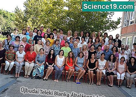 Napló Méretarányú Grafikonok Olvasása 💫 Tudományos És Népszerű