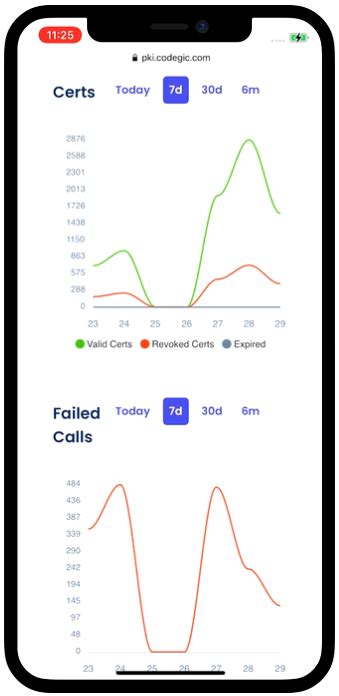 Pki Health Check Automation Tool Pki Insights Codegic