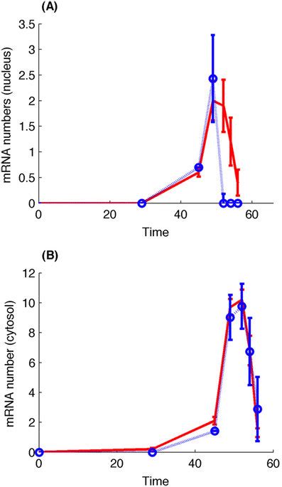 Simulation Of Gene Transcription For Gene Swi5 Using The Download