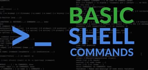 Shell Command To Bulk Change File Extensions In A Directory Linux Wissenschaft Integrated