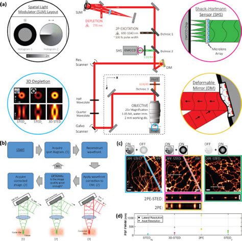 Principles Of Aberration Corrected 3d 2pe Sted Microscopy Download Scientific Diagram
