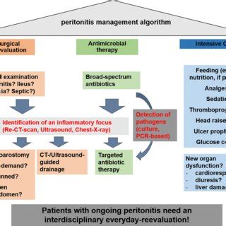 Pdf Intra Abdominal Sepsis New Definitions And Current Clinical Standards