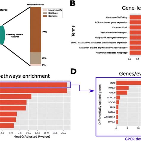A 15 Of Differentially Spliced Exons Between Reticulated And Mature Download Scientific