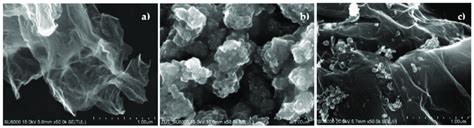 SEM Images Of A RGO B TiO 2 And C TiO 2 RGO 8 300 Download Scientific Diagram