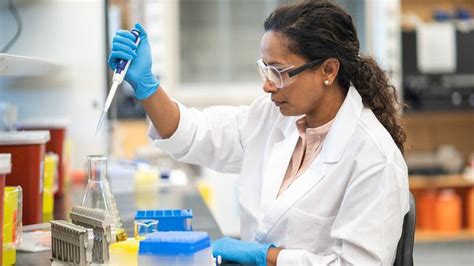 Framework Analyzes Metabolic Data And Predicts Disease Risk Technology Networks