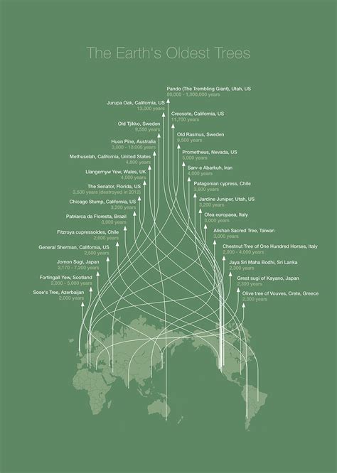 6655 Best Tree Id Images On Pholder Pareidolia Coolguides And Embroidery