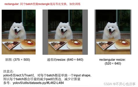 Yolov5解读，训练，复现yolov5复现 Csdn博客