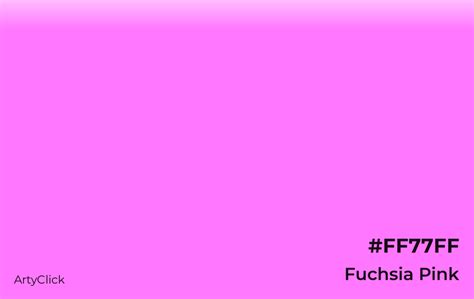 Fuchsia Pink Color Artyclick