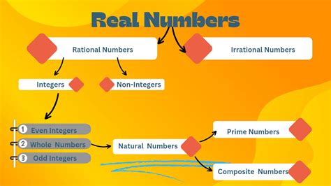 Understanding Real Numbers The Foundation Of Mathematics