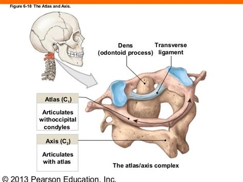 163 Ch 06lecturepresentation