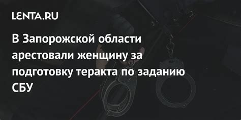В Запорожской области арестовали женщину за подготовку теракта по