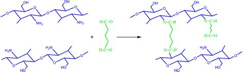 Cross Linking Reaction Of Chitosan With Glutaraldehyde [77] Download